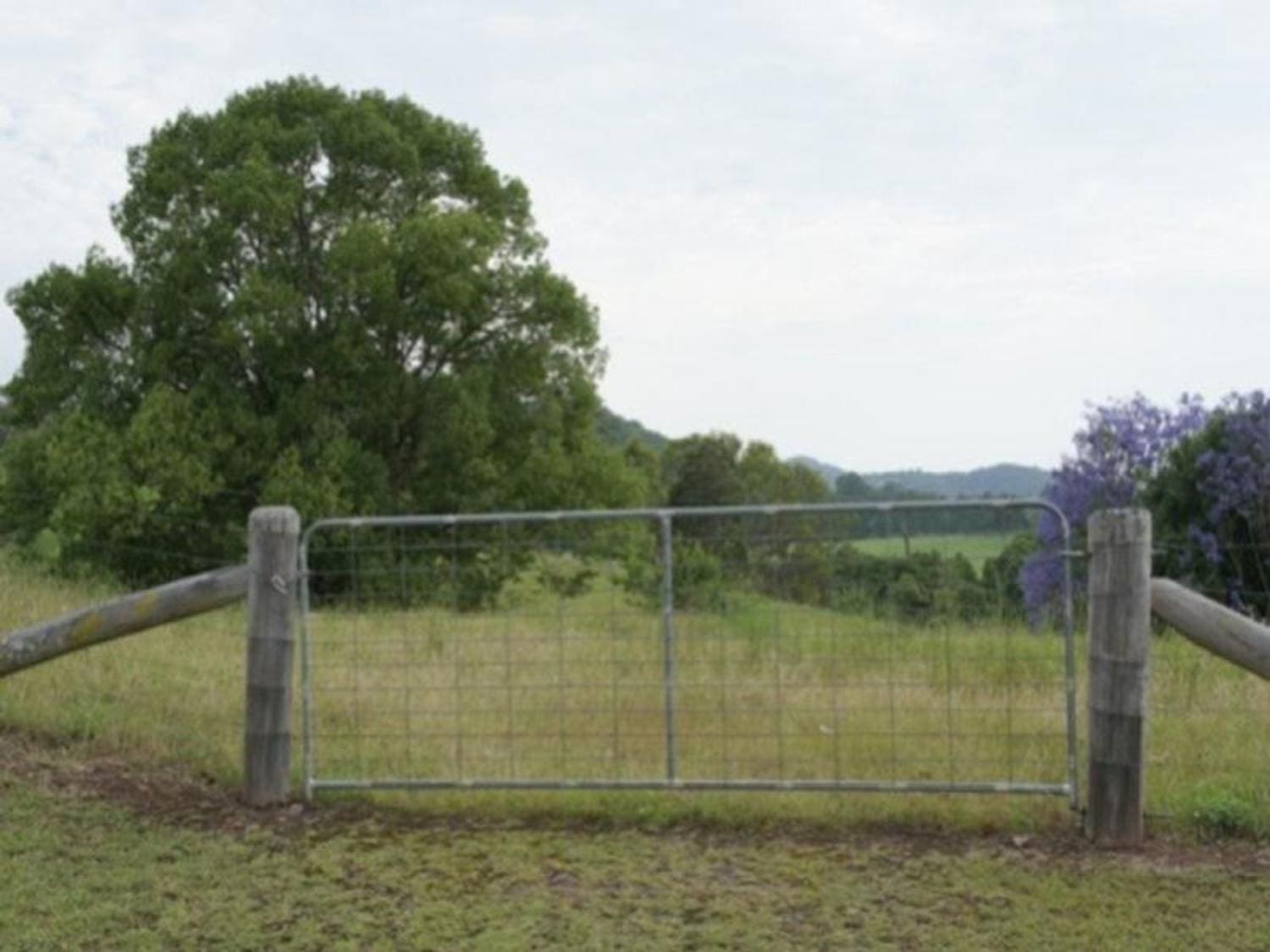 55 Parkside Close, STROUD ROAD NSW 2415 - Elders R and R Property